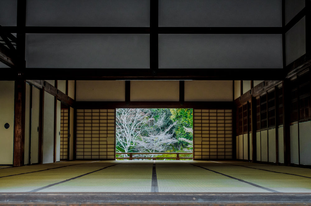 Honoring the Dojo: A Deep Dive into Japan's Martial Arts Sanctuaries ...