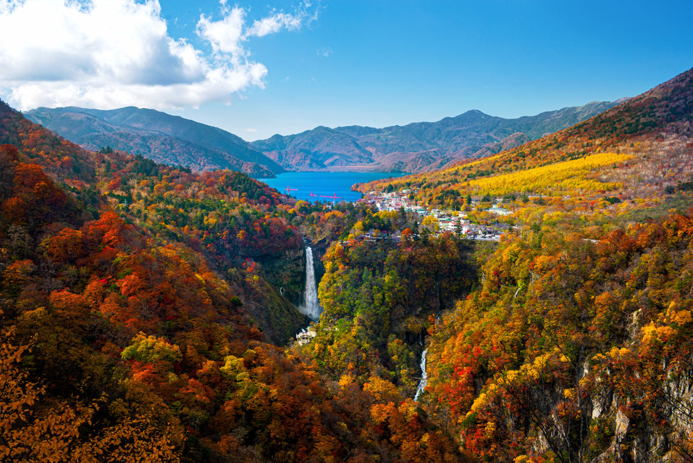 Journey to Nikko: Where Japan's History and Nature Converge – Bokksu