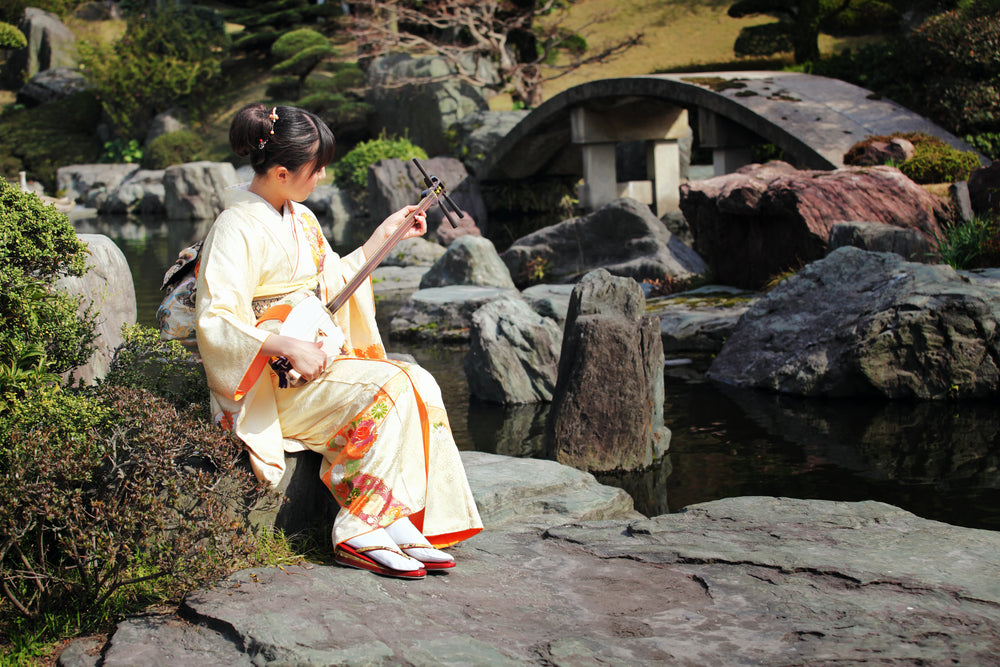 The Shamisen: Echoes of Japan's Musical Heritage – Bokksu